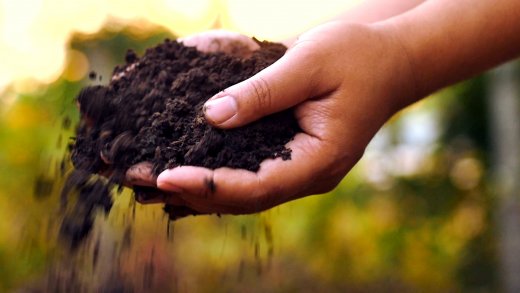 Le biochar cherche sa place | Energie Plus